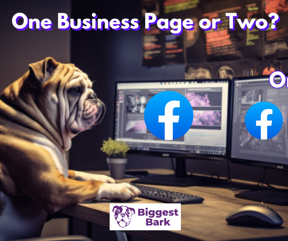 Double Up on Facebook: When and Why Multiple Pages Make Sense | Biggest ...